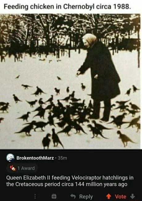 Feeding chicken in Chernobyl circa 1988. BrokentoothMarz Award Queen ...