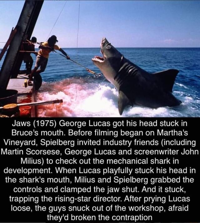 Jaws (1975) George Lucas got his head stuck in Bruce's mouth. Before ...