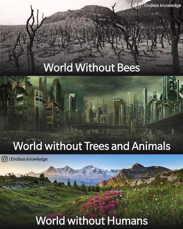 Ss knowledge World Without Bees World without Trees and Animals VWinrid ...
