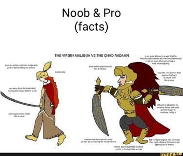 Noob & Pro (facts) - iFunny Brazil