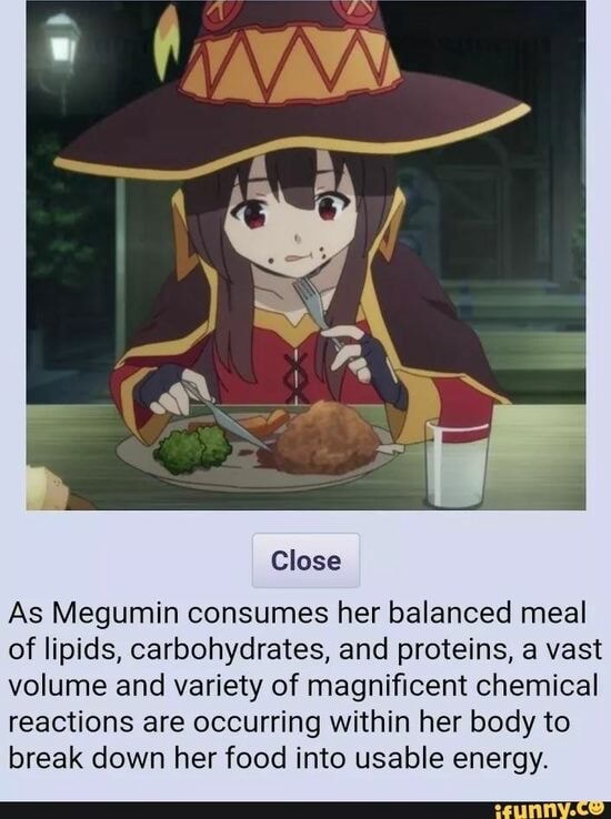 Close As Megumin consumes her balanced meal of lipids, carbohydrates ...
