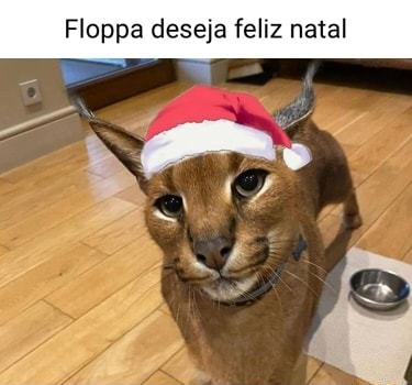 Floppa deseja feliz natal - iFunny Brazil