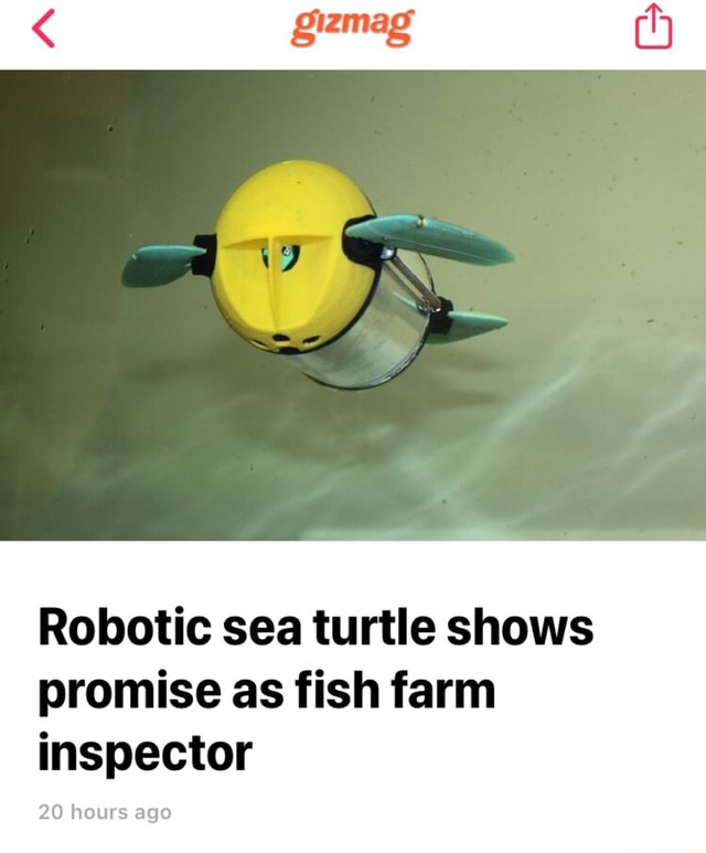 Gizmag Robotic sea turtle shows promise as fish farm inspector 20 hours ...