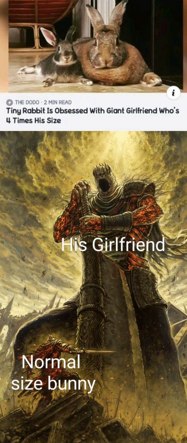 THE MIN READ Tiny Rabbit Is Obsessed With Giant Girlfriend Who's Times ...