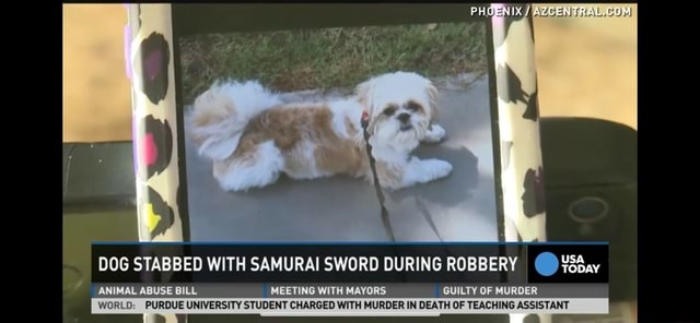 DOG STABBED WITH SAMURAI SWORD DURING ROBBERY GUILTY OF MURDER WORLD ... DOG STABBED WITH SAMURAI SWORD DURING ROBBERY GUILTY OF MURDER WORLD ...