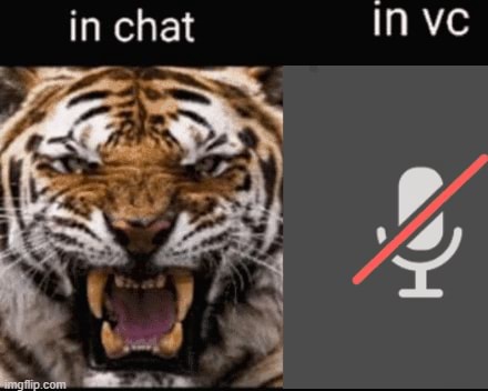 In chat in vc - iFunny Brazil