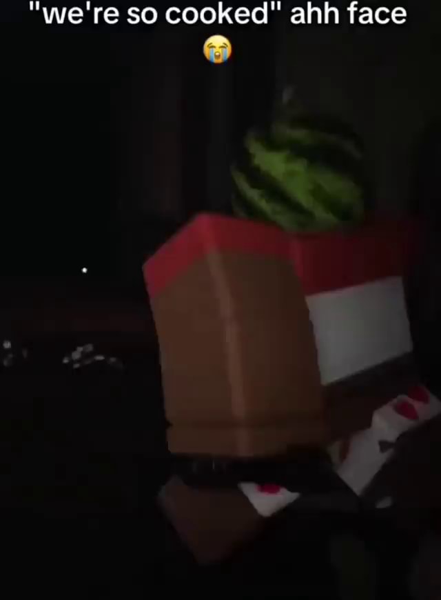 "we're so cooked" ahh face - iFunny