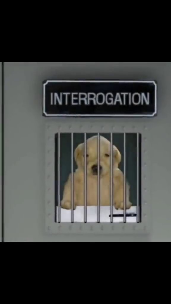 INTERROGATION - iFunny Brazil
