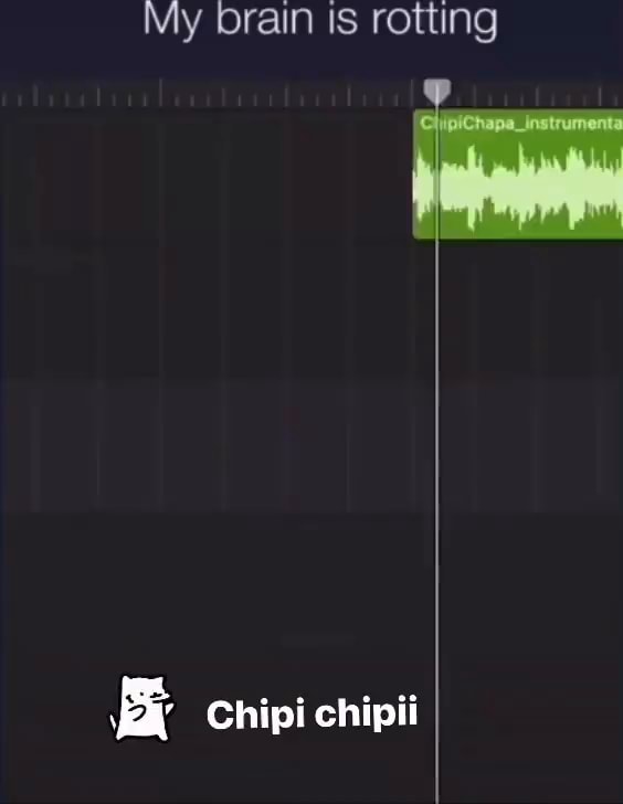 My brain ts rotting Chipi chipii - iFunny Brazil