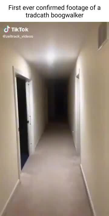 First ever confirmed footage of a tradcath boogwalker - iFunny Brazil