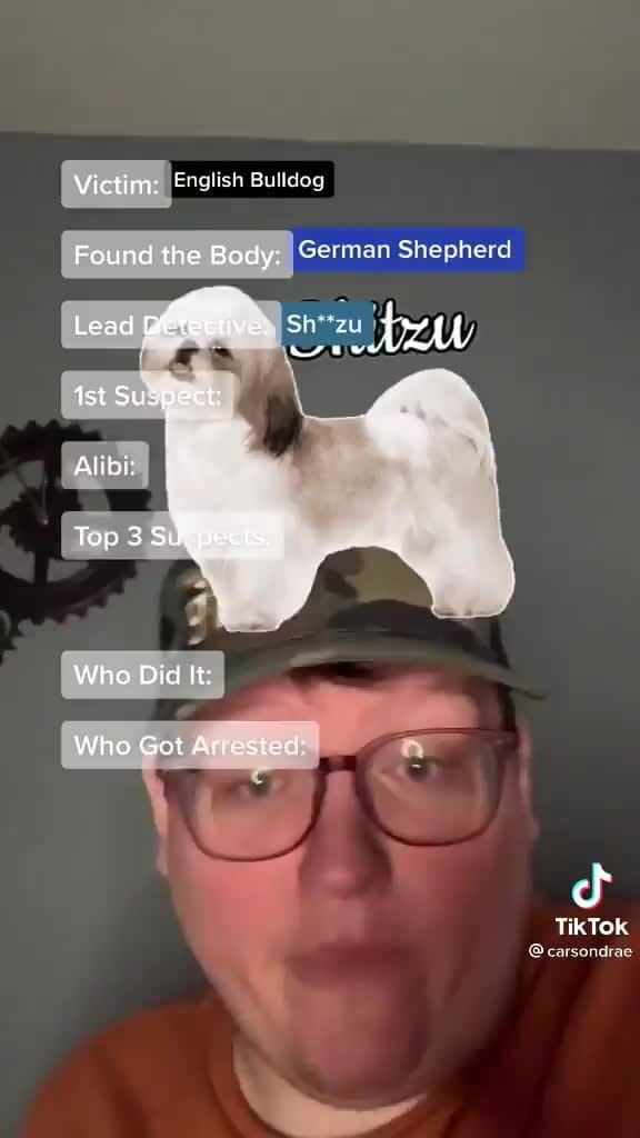 Victim: English Bulldog Found the Body: German Shepherd Lead Metect'e ...