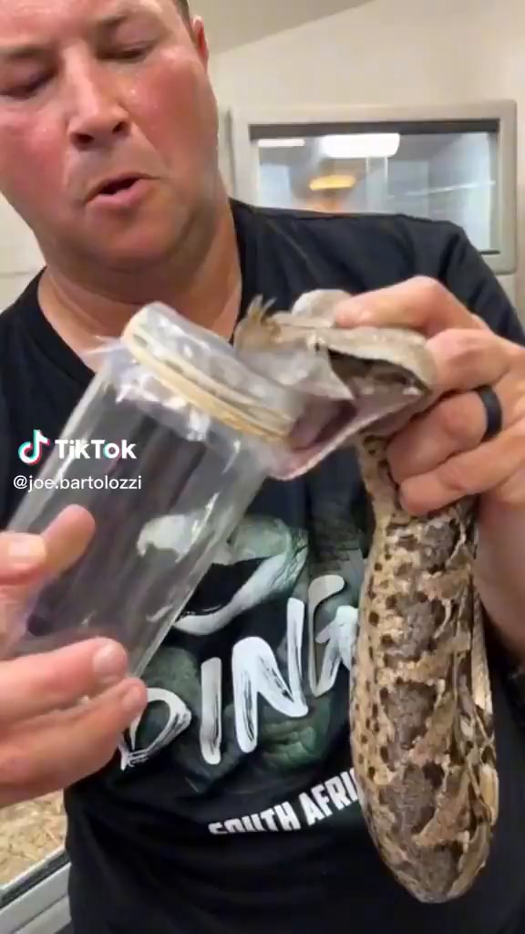 Cf TikTok joe bartolozzi - iFunny Brazil Cf TikTok joe bartolozzi - iFunny Brazil