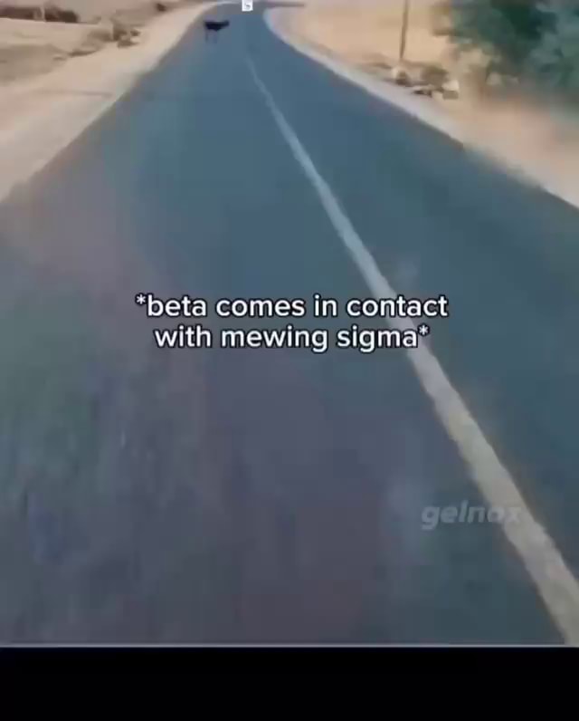 *beta comes in contact with mewing sigma - iFunny Brazil