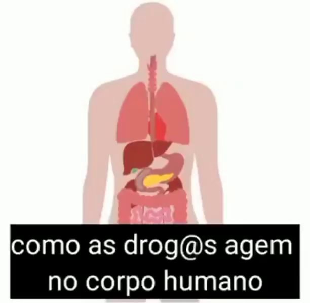 Como as dro agem no corpo humano - iFunny Brazil