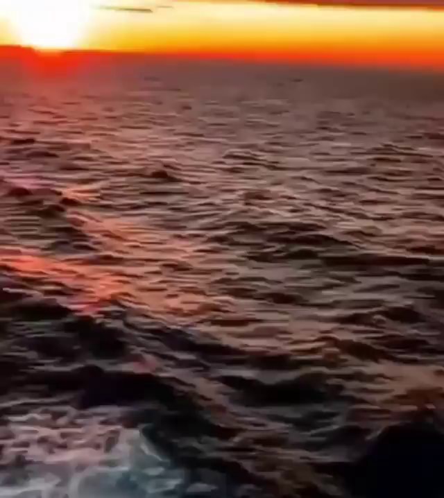 Memes de vídeo RYPOP5EBB por ABNER_CAP: 1 comentário - iFunny Brazil