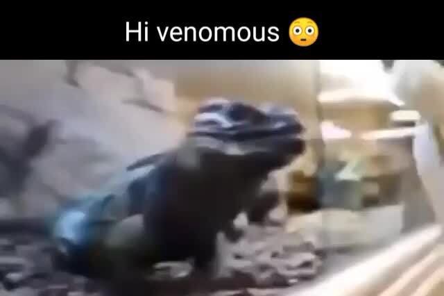 Hi venomous - iFunny Brazil