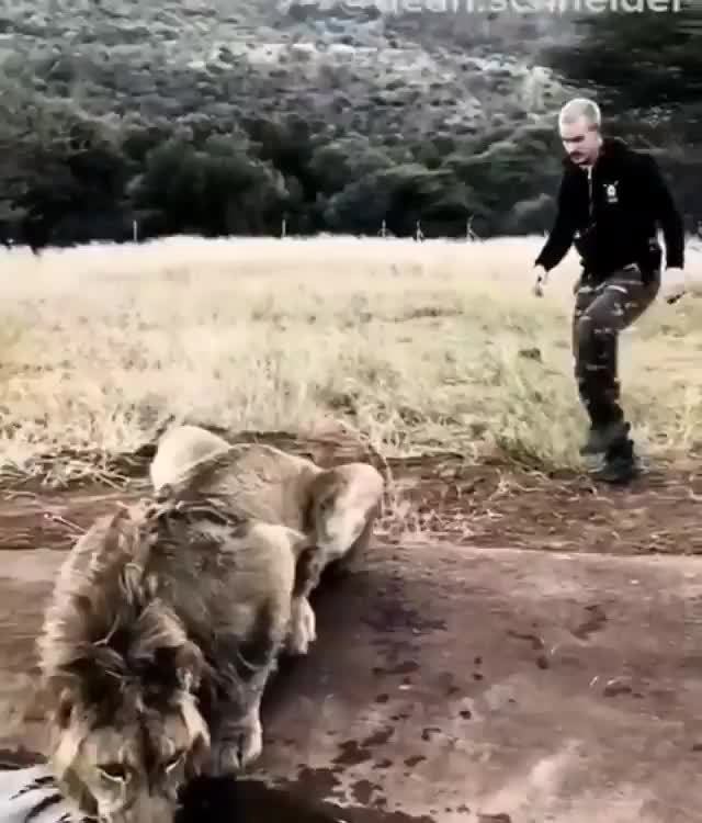 Imgur: sneaky human!!😂 - iFunny Brazil