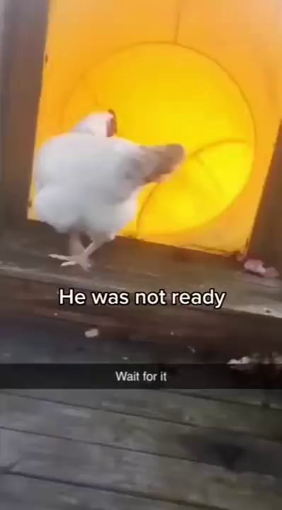 He was not 'ready, Wait for it - iFunny Brazil