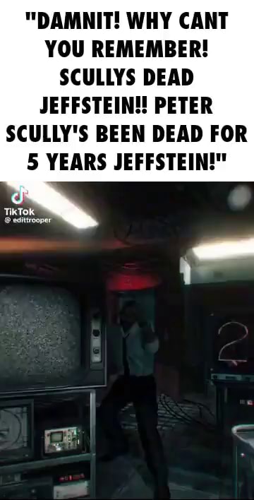 "DAMNIT! WHY CANT YOU REMEMBER! SCULLYS DEAD JEFFSTEIN!! PETER SCULLY'S ...