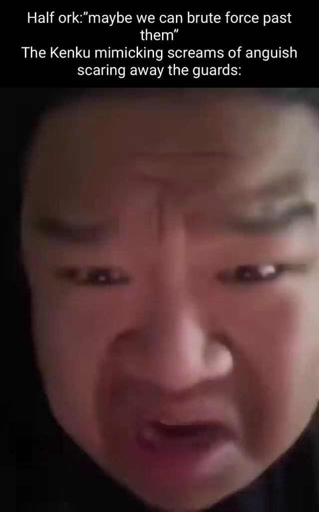 Half we can brute force past them" The Kenku mimicking screams of ...