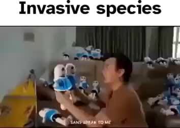 Invasive species - iFunny Brazil