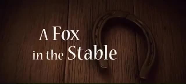 A Fox in the Stable - iFunny Brazil