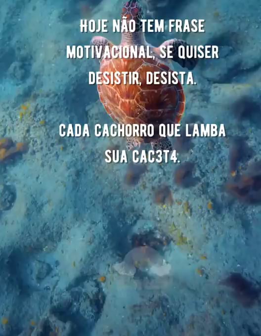 HOJE NÃO TEM FRASE MOTIVACIONAL, SE QUISER DESISTIR, DESISTA, CADA ...