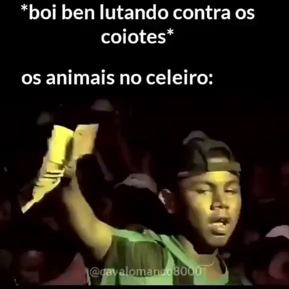 *boi ben lutando contra os coiotes* os animais no celeiro: - iFunny Brazil