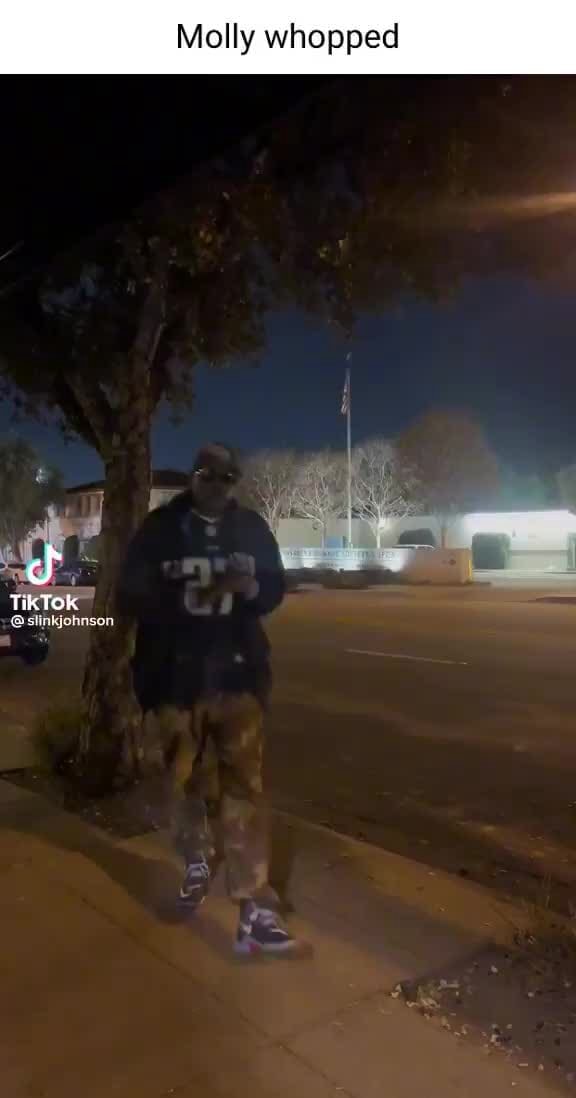 Molly whopped TikTok @slinkjohnson - iFunny Brazil
