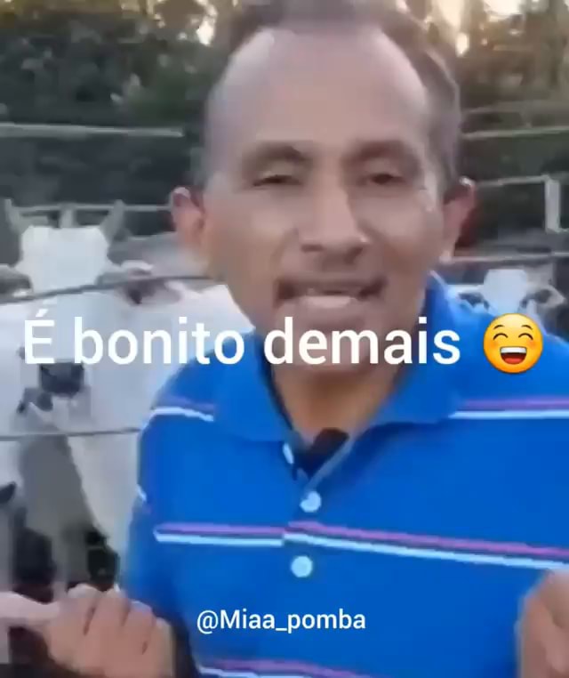 E bonito demais OMiaa pomba - iFunny Brazil