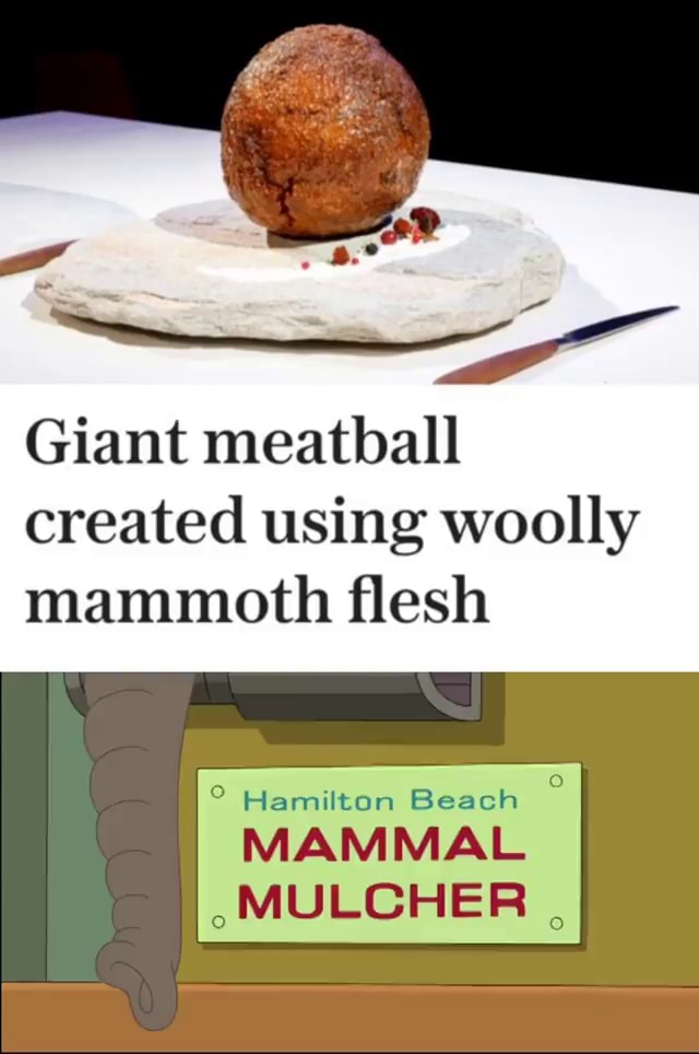 Giant meatball created using woolly mammoth flesh Hamilton Beach MAMMAL ,MULCHER - iFunny Brazil