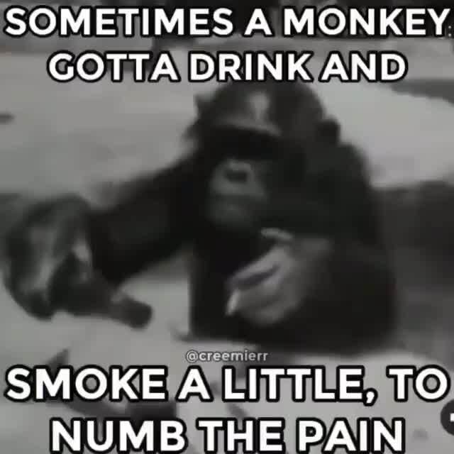 SOMETIMES A MONKEY GOTTA DRINK AND SMOKE A LITTLE, TO AITIRAR TLIC ...