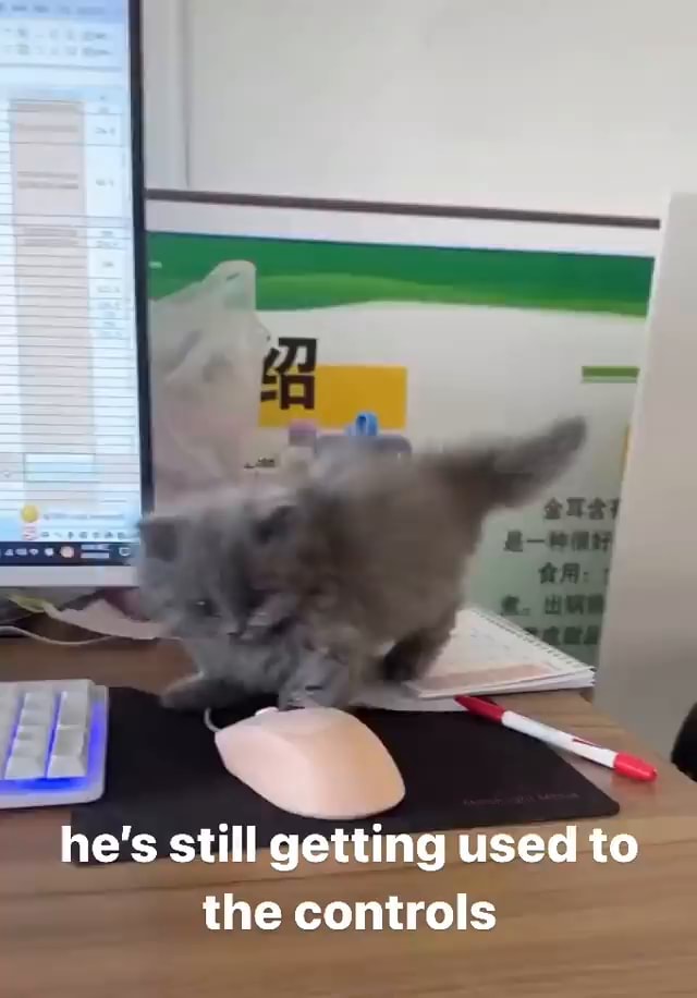 He's still getting used to the controls - iFunny Brazil