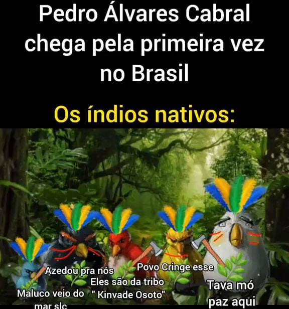 Pedro Álvares Cabral chega pela primeira vez no Brasil Os índios ...