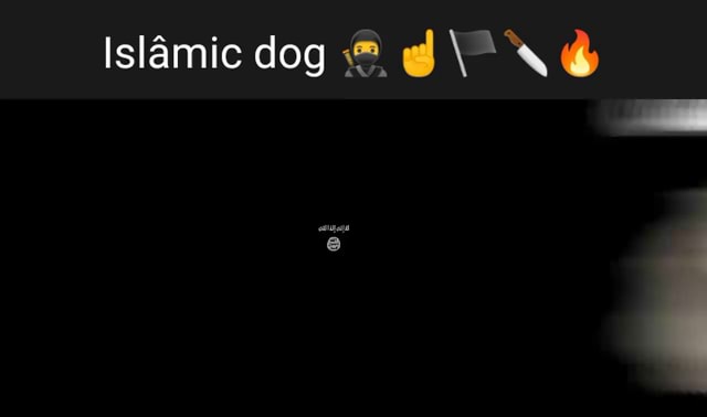 Islamic dog - iFunny Brazil