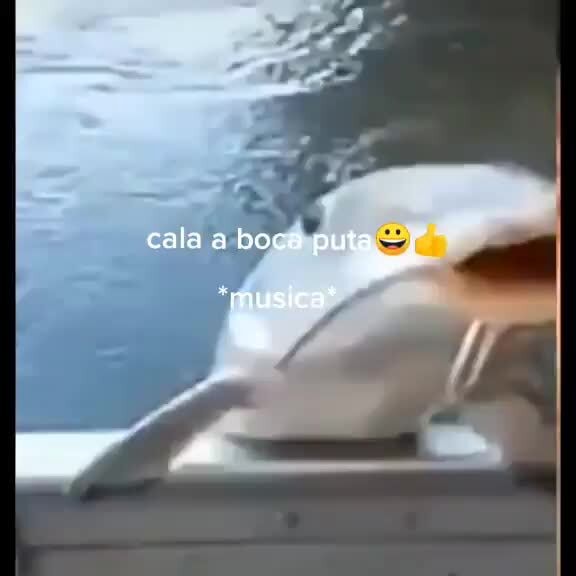 Cala a boca puta - "musica* - iFunny Brazil