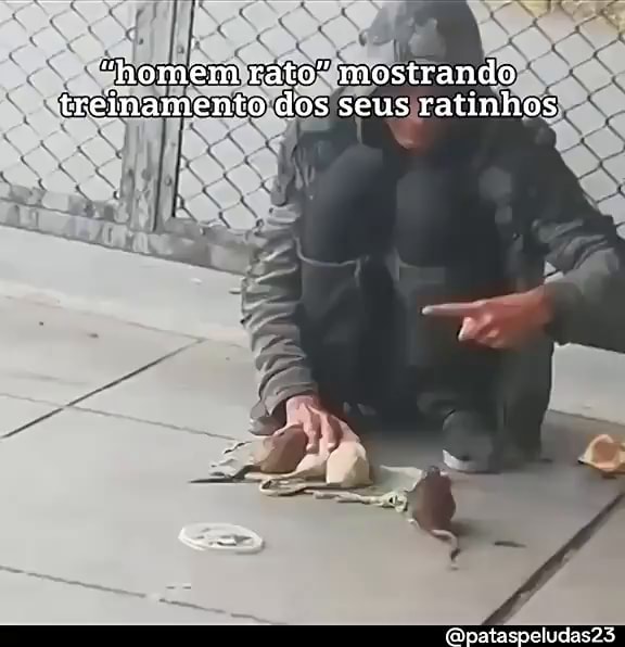 "homem rato" mostrando treinamento dos seus ratinhos - iFunny Brazil