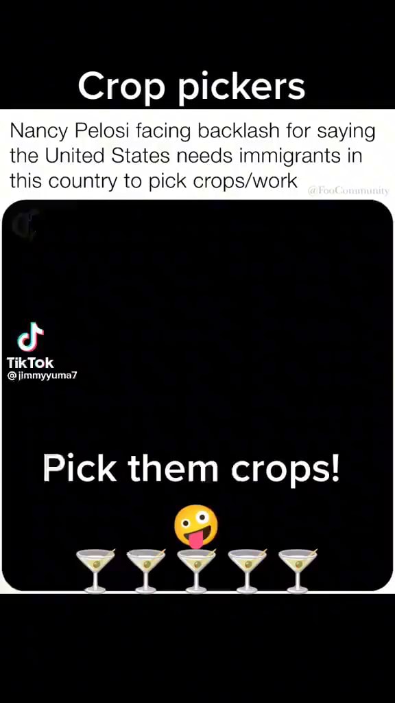 Crop pickers Nancy Pelosi facing backlash for saying the United States ...