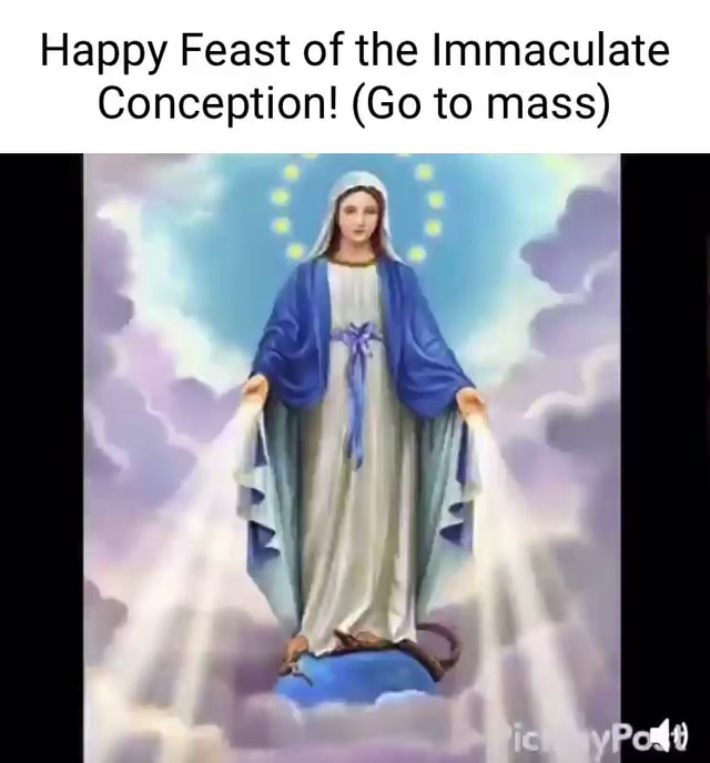 Happy Feast of the Immaculate Conception! (Go to mass) - iFunny Brazil