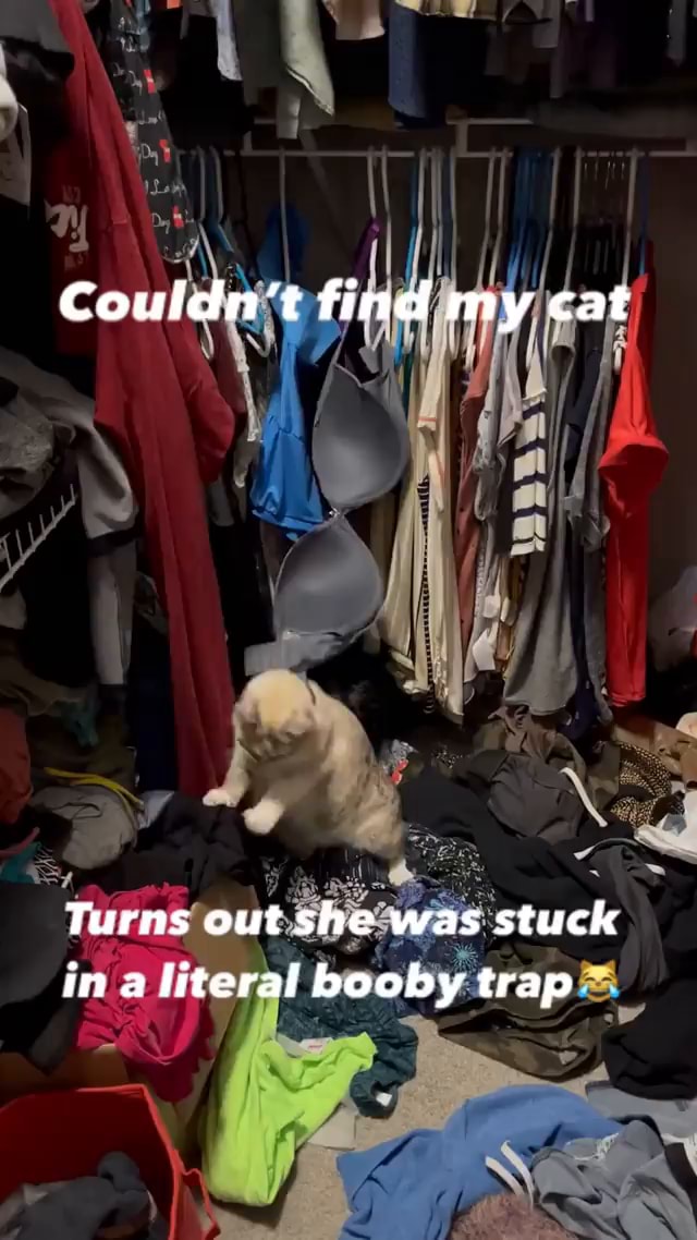 Couldn't find my cat Turns out she was stuck in a literal booby trap ...