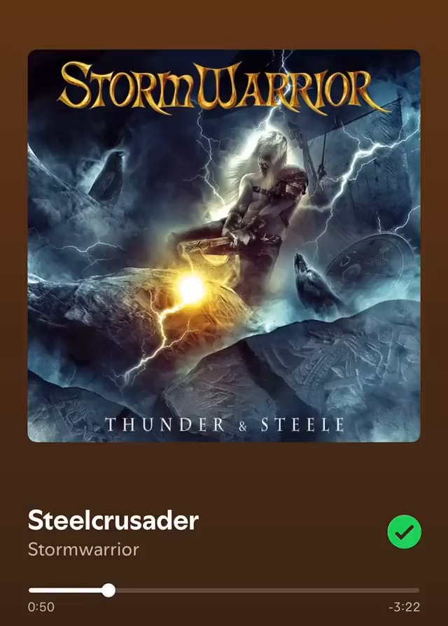 STEELE Steelcrusader Stormwarrior - iFunny Brazil