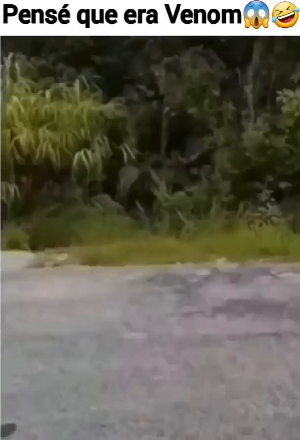 pens-que-era-venom-ifunny-brazil