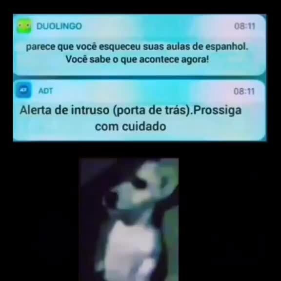 Parece que você esqueceu suas aulas de espanhol. Você sabe o que ...