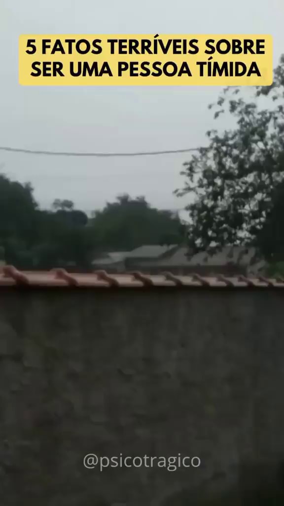 5 FATOS TERRÍVEIS SOBRE SER UMA PESSOA TIMIDA "4 EN iSiIdo) - iFunny Brazil