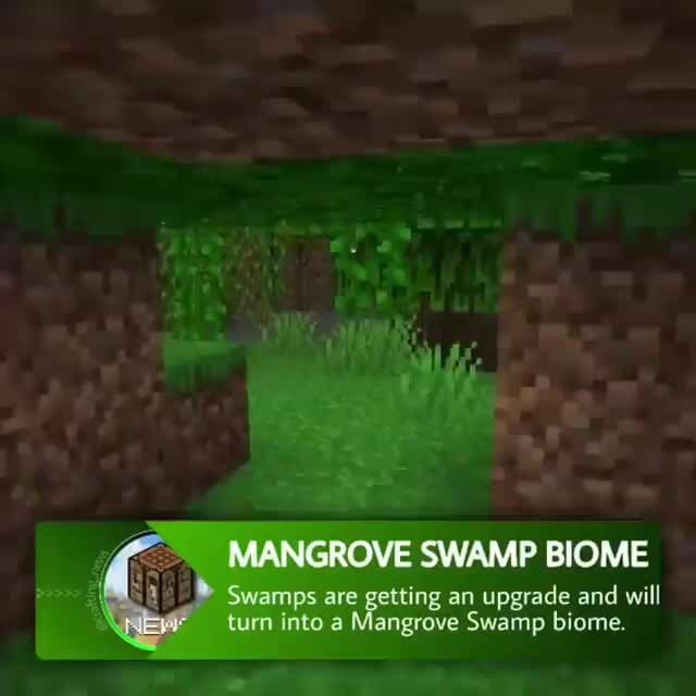 MANGROVE SWAMP BIOME Swamps are getting an upgrade and will turn into a ...