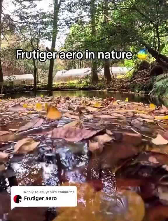 Frutiger aero in nature Reply to.asvyanil's eamment - iFunny Brazil