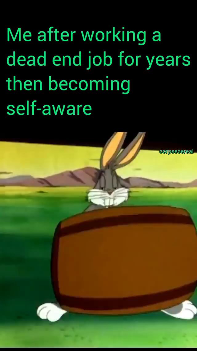 Me after working a dead end job for years then becoming self-aware ...