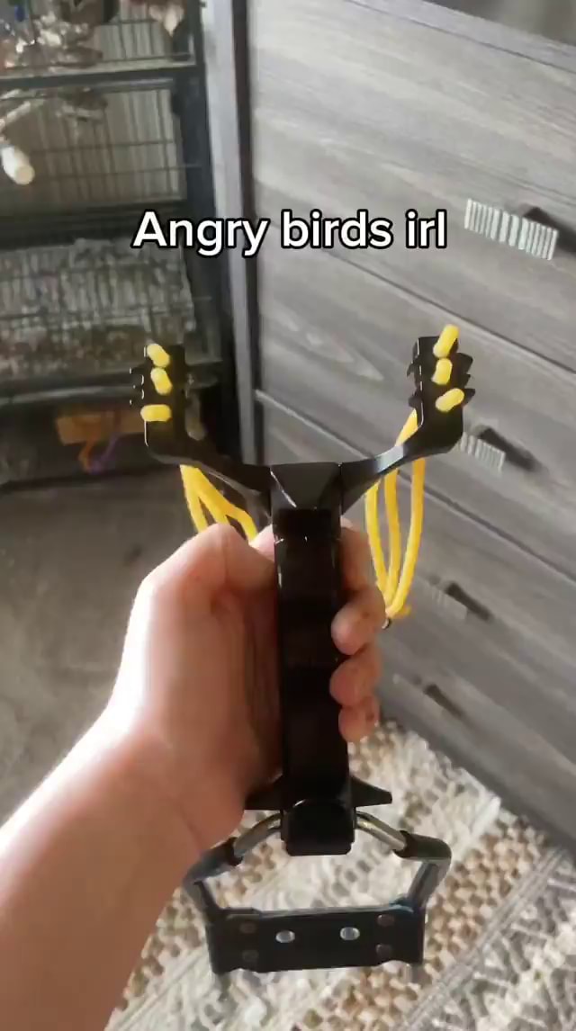 Angry birds irl - iFunny Brazil