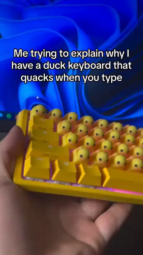 Me trying to explain why I have a duck keyboard that quacks when you ...
