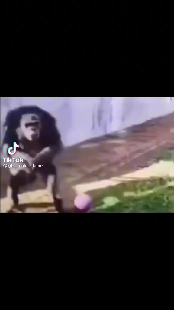 TikTok gla magia meme - iFunny